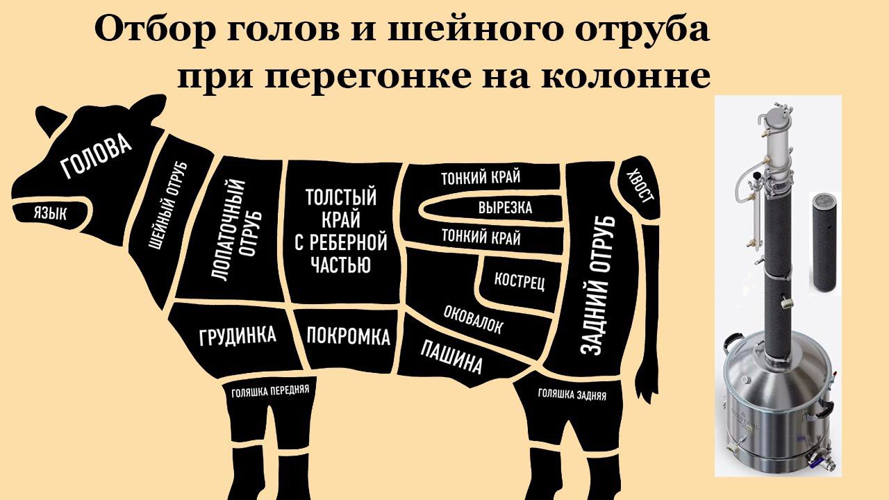 Отбор голов в колонне при перегонке.