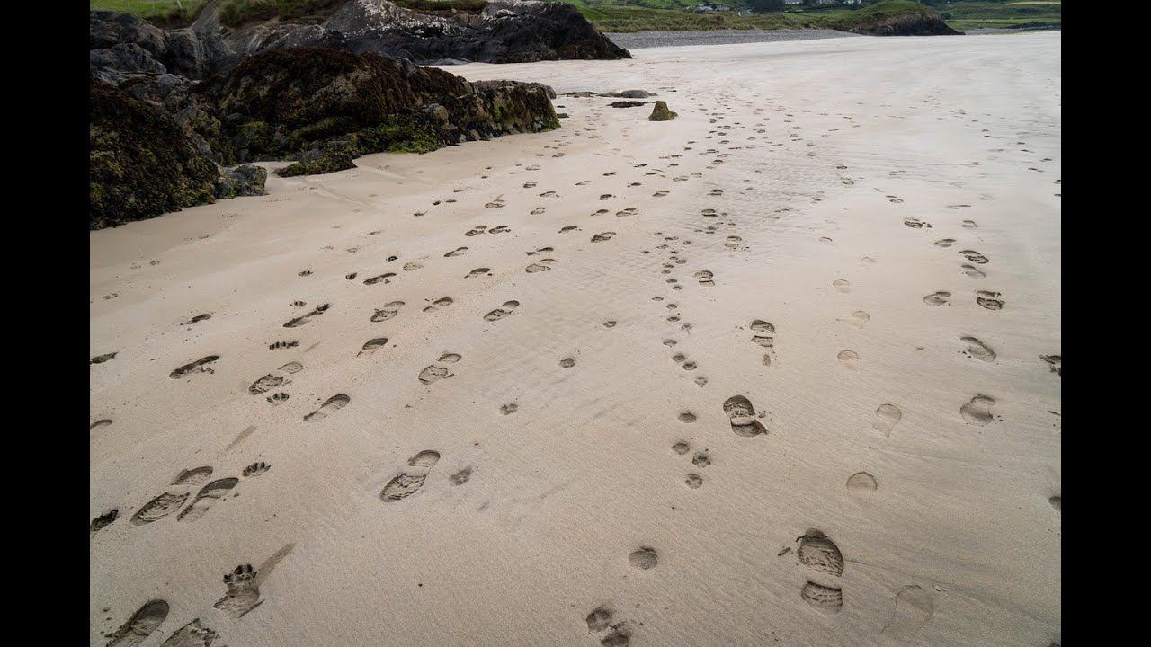 Следы...(читает автор)