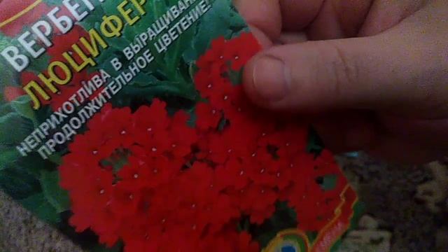 Обзор семян овощей 2022