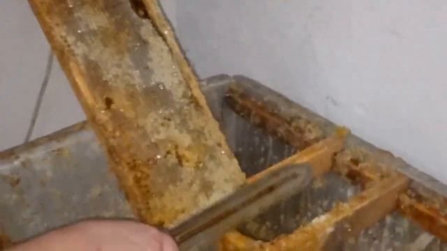 Откачиваем мёд 25 января.mp4