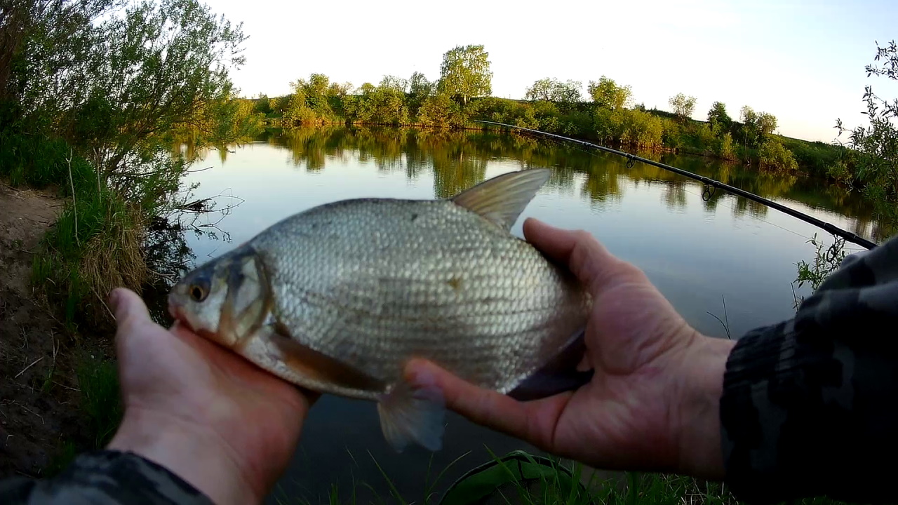 ЛЕЩ НА ФИДЕР Ч 2.mp4