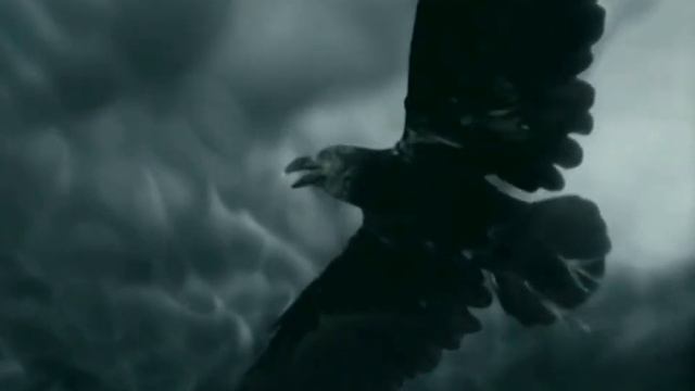 Фантомная боль