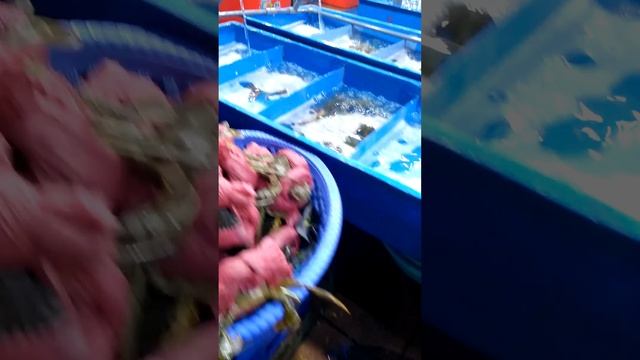 Мальчик, отпусти лангуста. Рынок в Нячанге. Вьетнам.