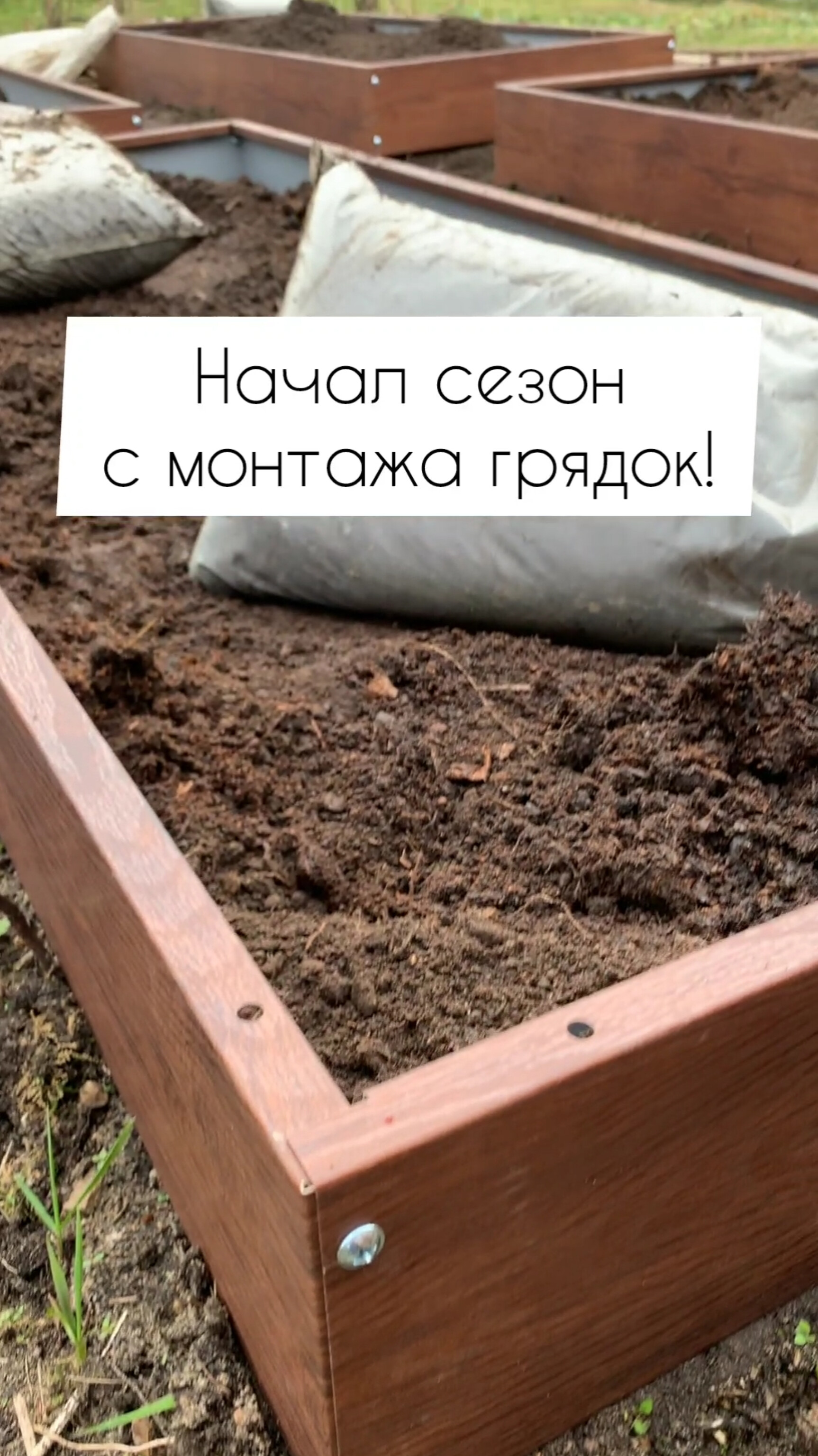 Новые овощные грядки!