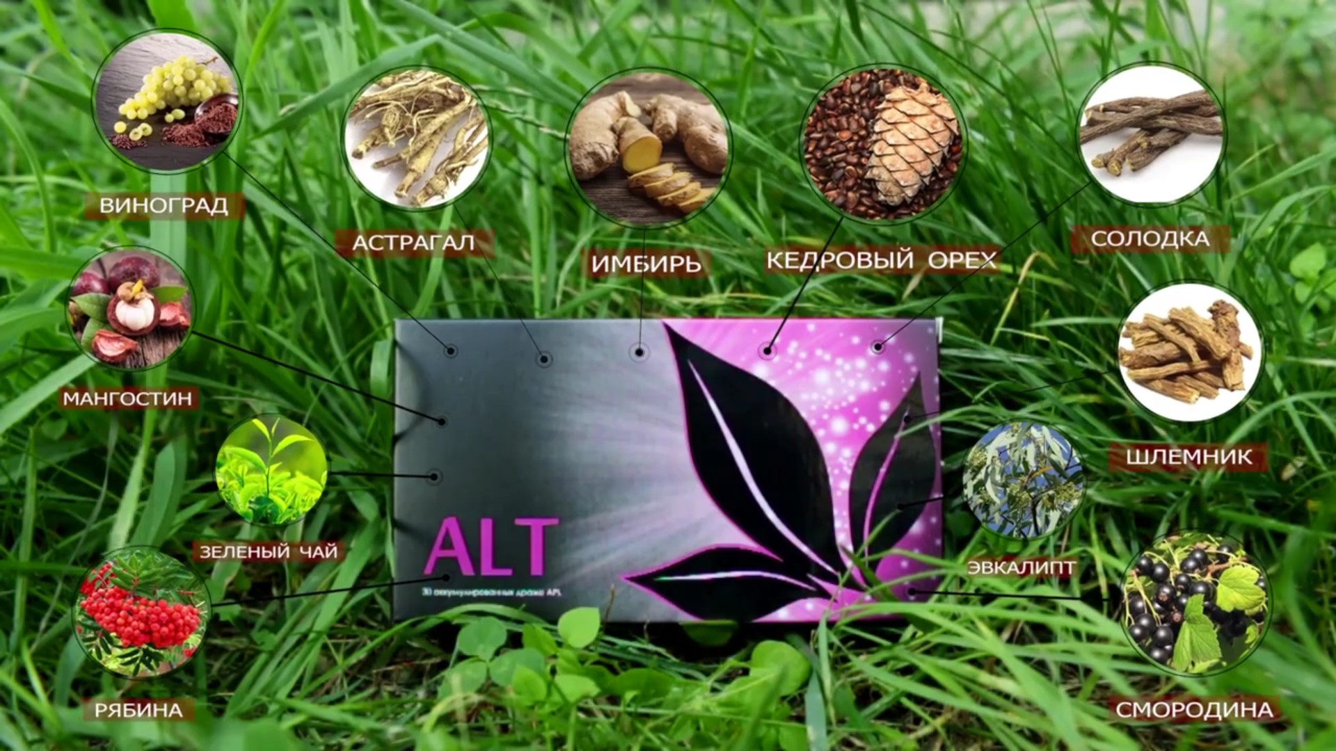 ALT - НОВОЕ СЛОВО В БОРЬБЕ С АЛЛЕРГИЕЙ.mp4
