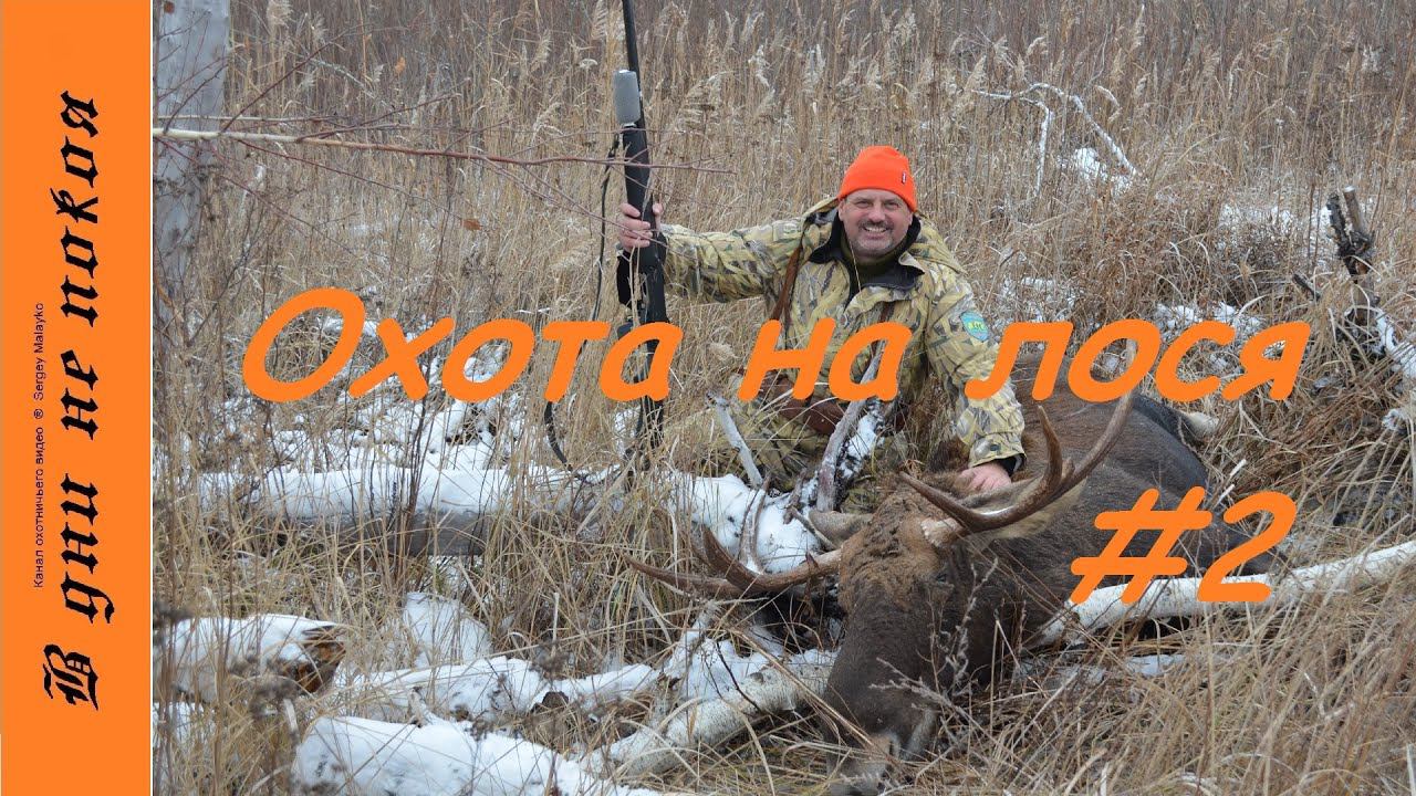 Охота на лося. #2. 18+