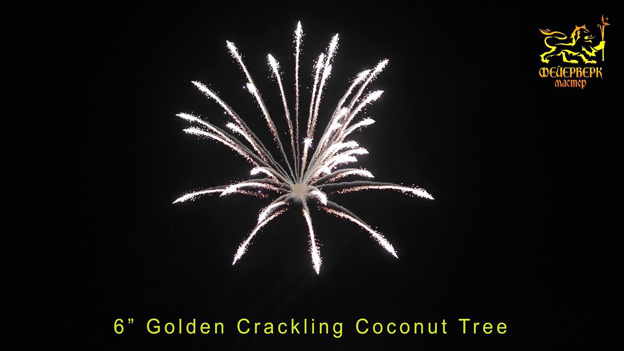 6" Golden Crackling Coconut Tree
