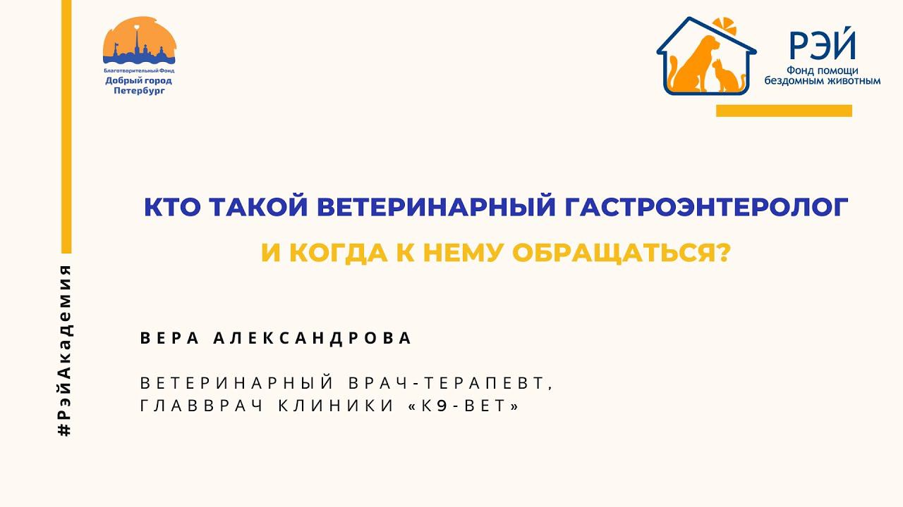 Кто такой ветеринарный гастроэнтеролог и когда к нему обращаться?