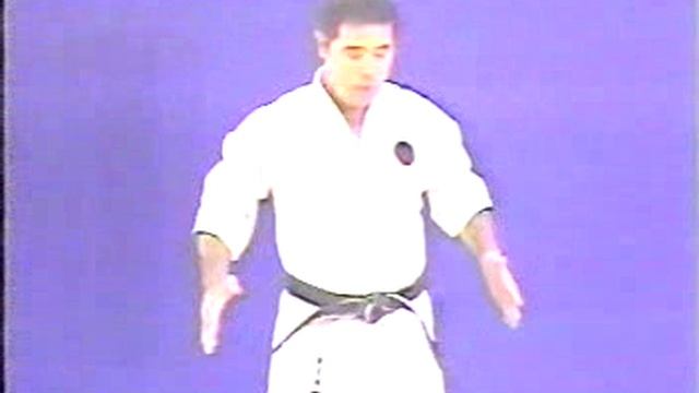 Техника блоков. Набивка блокирующих зон рук