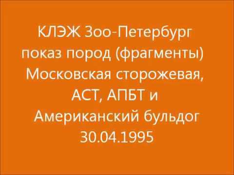КЛЭЖ "Зоо-Петербург" 30.04.1995 представление пород (фрагменты)