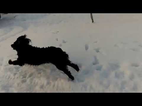 Восторженный жопник.