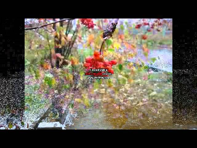 Светлана Смагина. Всё будет хорошо (авт.).avi