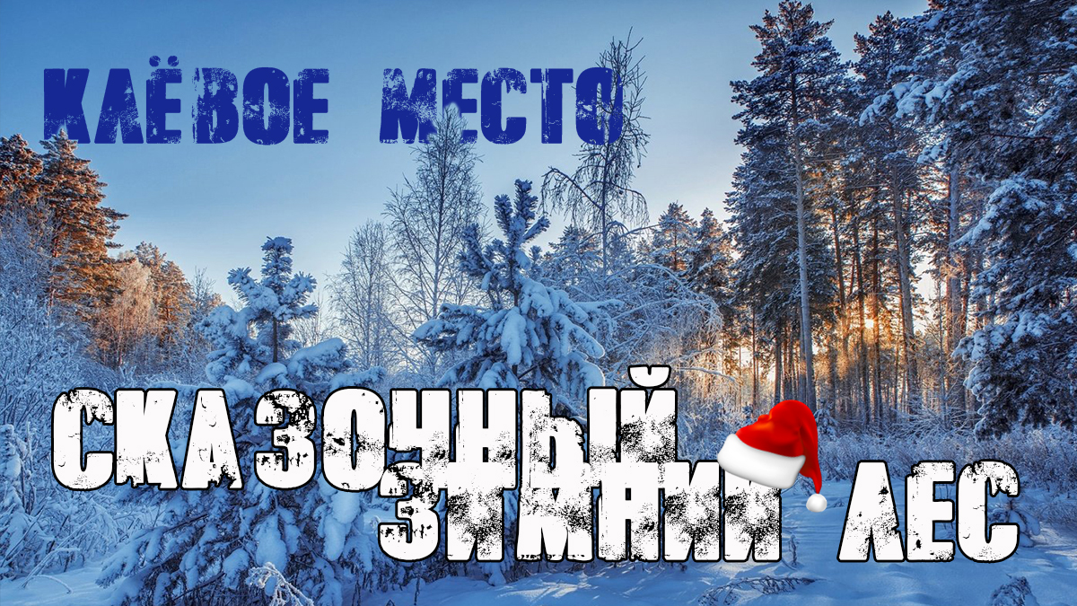 Сказочный зимний лес. Наше позитивное новогоднее видео.