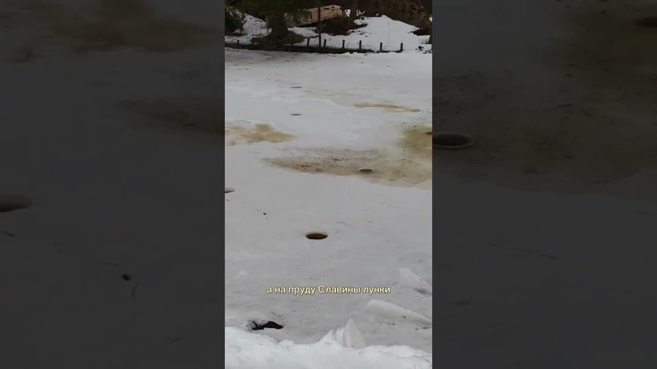 Первый день весны, журчат ручьи