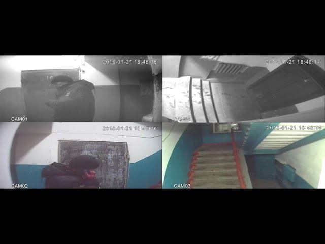 Наркоманы ищут клады