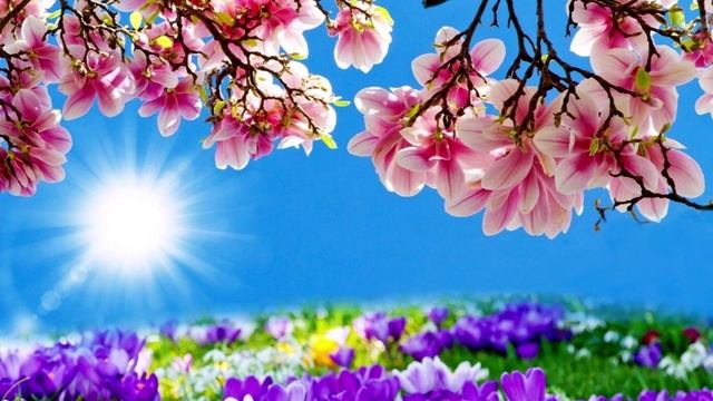 Навстречу солнцу. Практика помочь физическому телу адаптироваться к новым энергиям, идущим на Землю