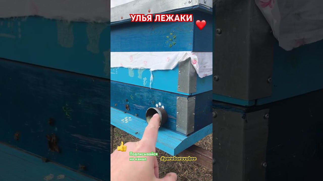 Улья лежаки! ПЧЕЛОВОДСТВО! #pereborovobee #пасека #пчеловодство #матковод #воск #лежак #пчеловод