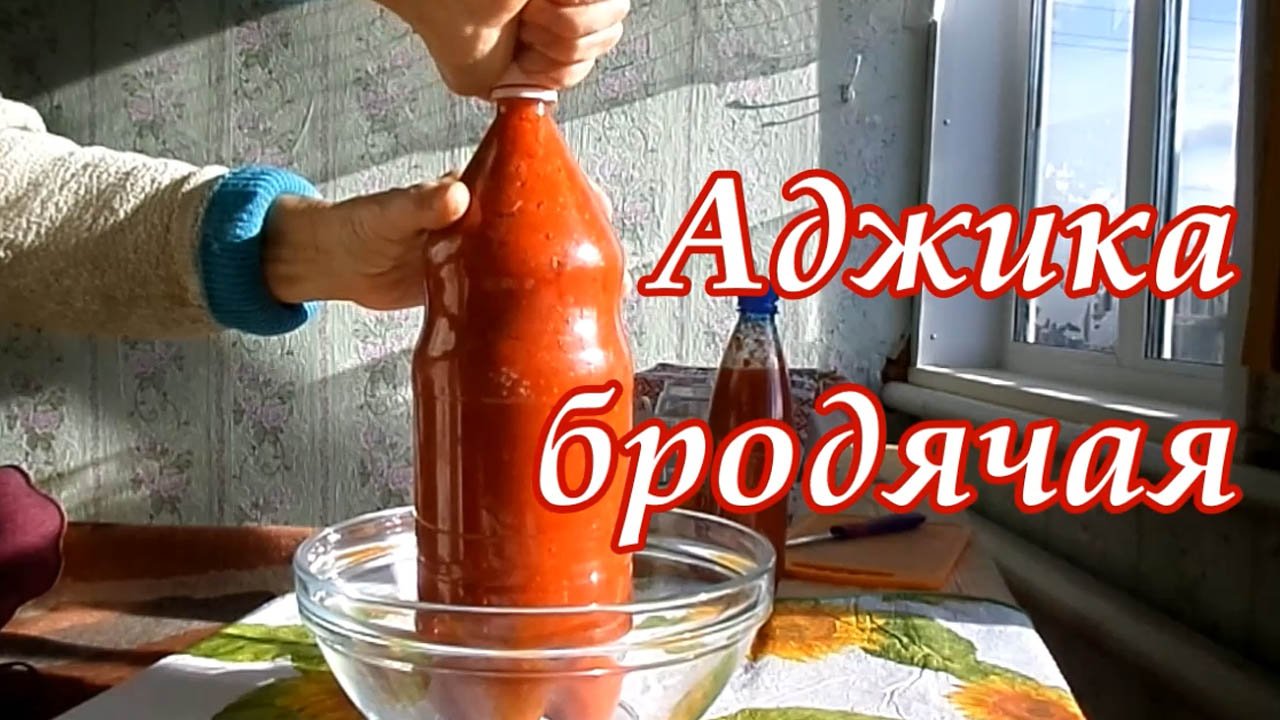 аджика бродячая.mp4