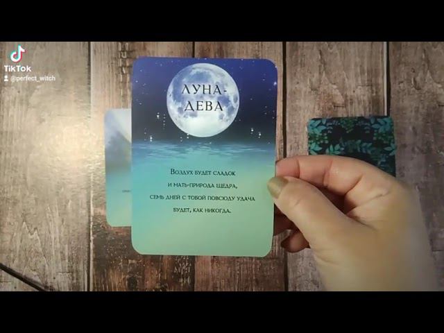 Послание от Оракула сибирских старцев