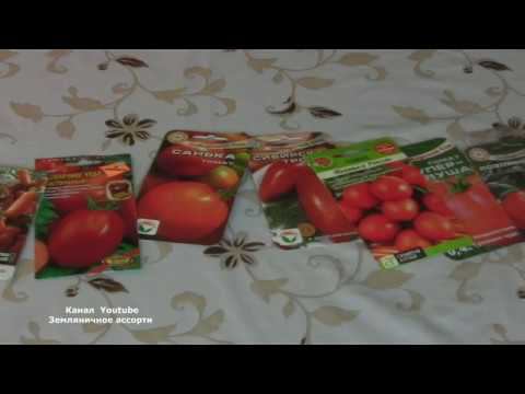 СОРТА ТОМАТОВ ДЛЯ ОТКРЫТОГО ГРУНТА  КАК ВЫБРАТЬ