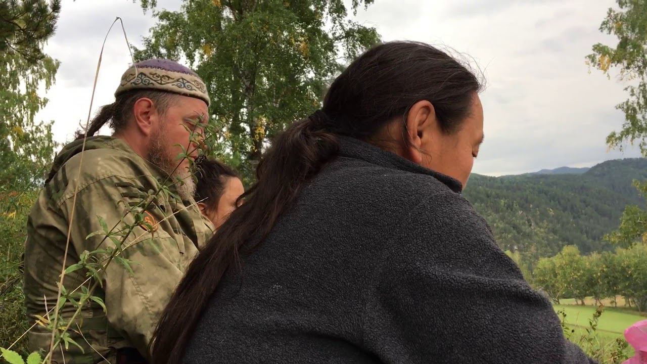 Кулан на Алтае, 2018