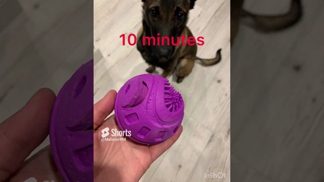 Новый мяч ?, 15 игры с мячом ?_♀️