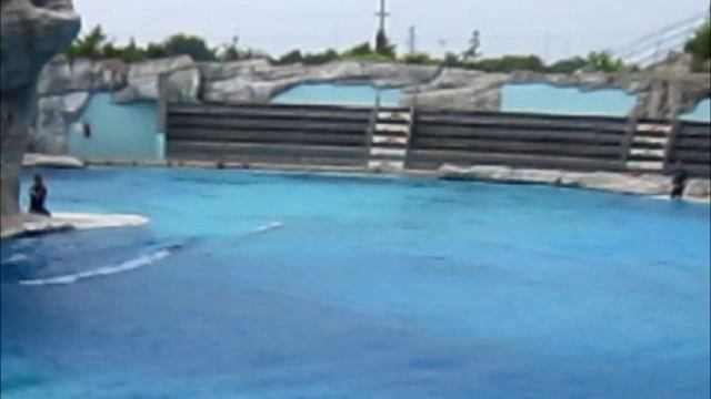 Дельфинарий.Италия.