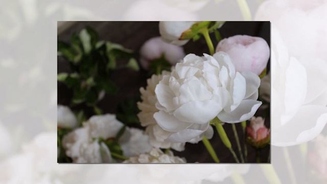 выставка в Историко-художественном музее Калининград