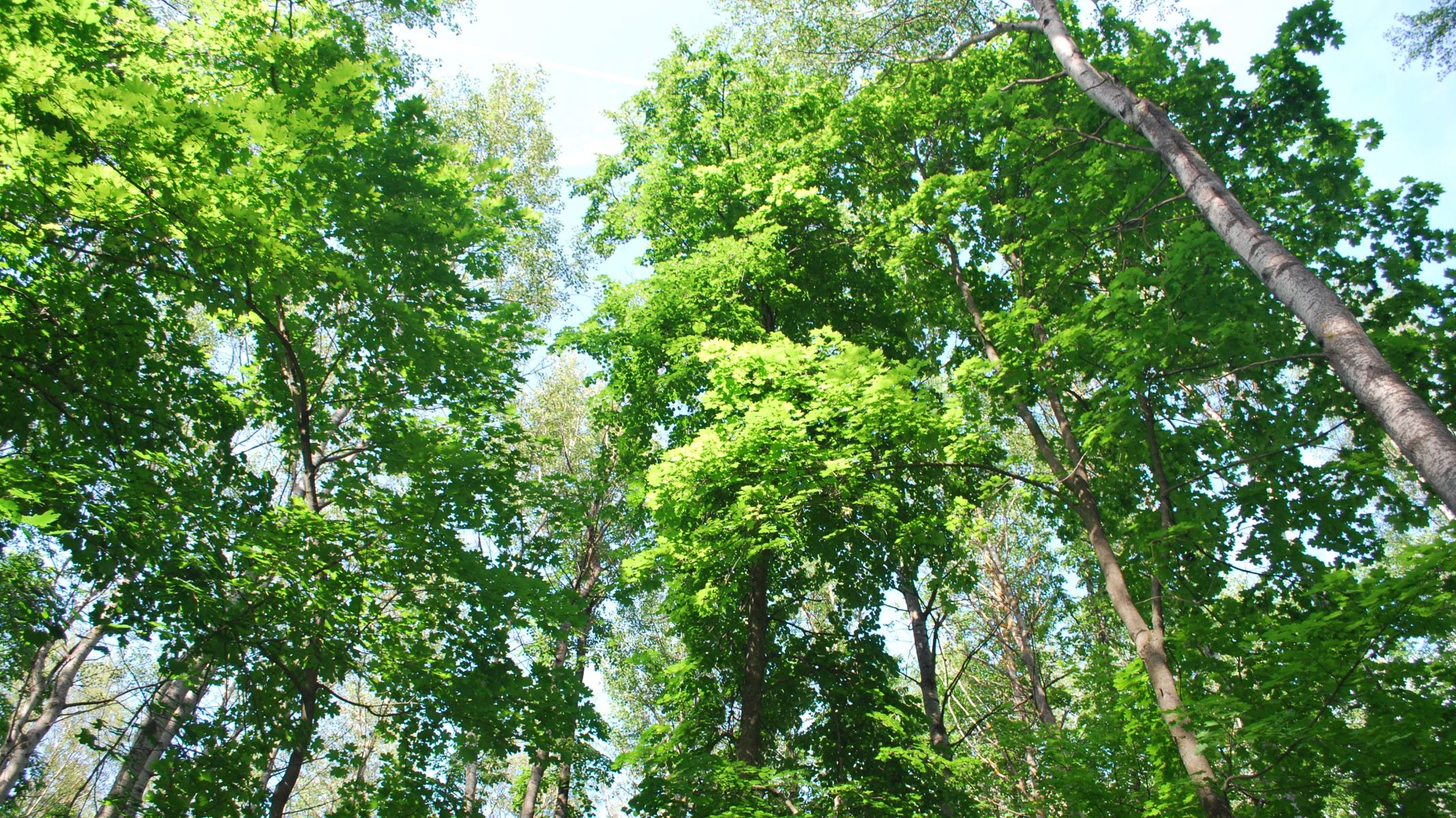 020_О блудных местах и неизвестных существах_ч_2