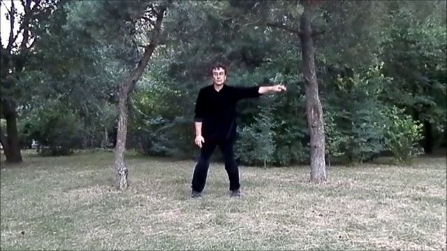 02 - Таолу блокирование руками