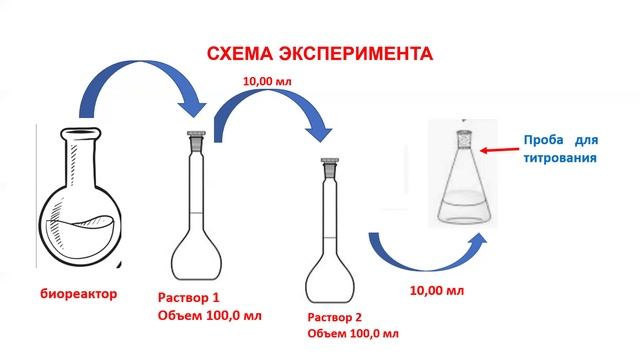 АК Биологическое практика 4