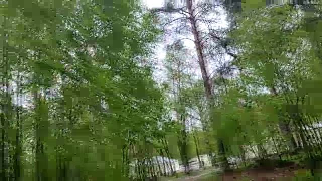 Дятел, сколько мне осталось?