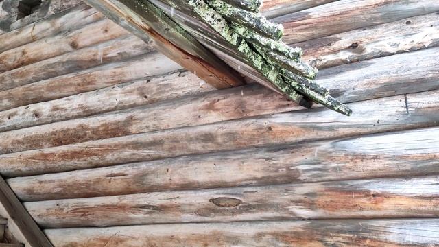 Весенняя капель