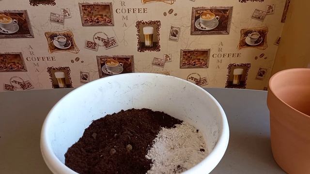 5 главных ошибок при выращивании фикуса Бенджамина (Наташа)
Обрезка фикуса.