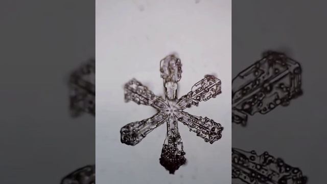 VID_20221224_204313_721.mp4