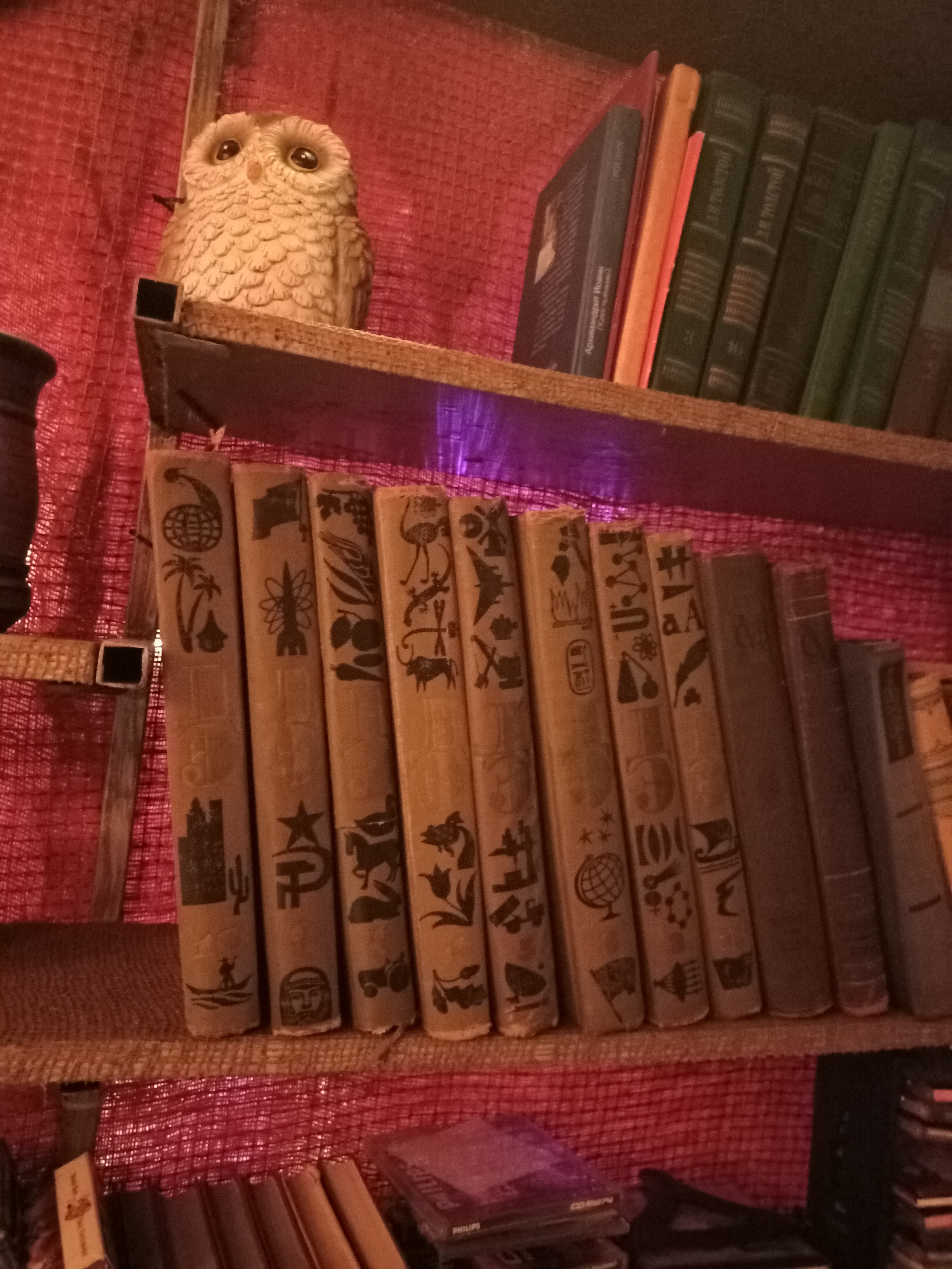 Необычное кафе в Петербурге