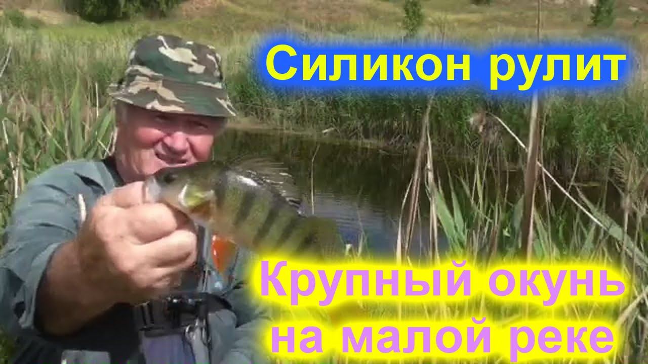 Крупный окунь на малой реке на силикон