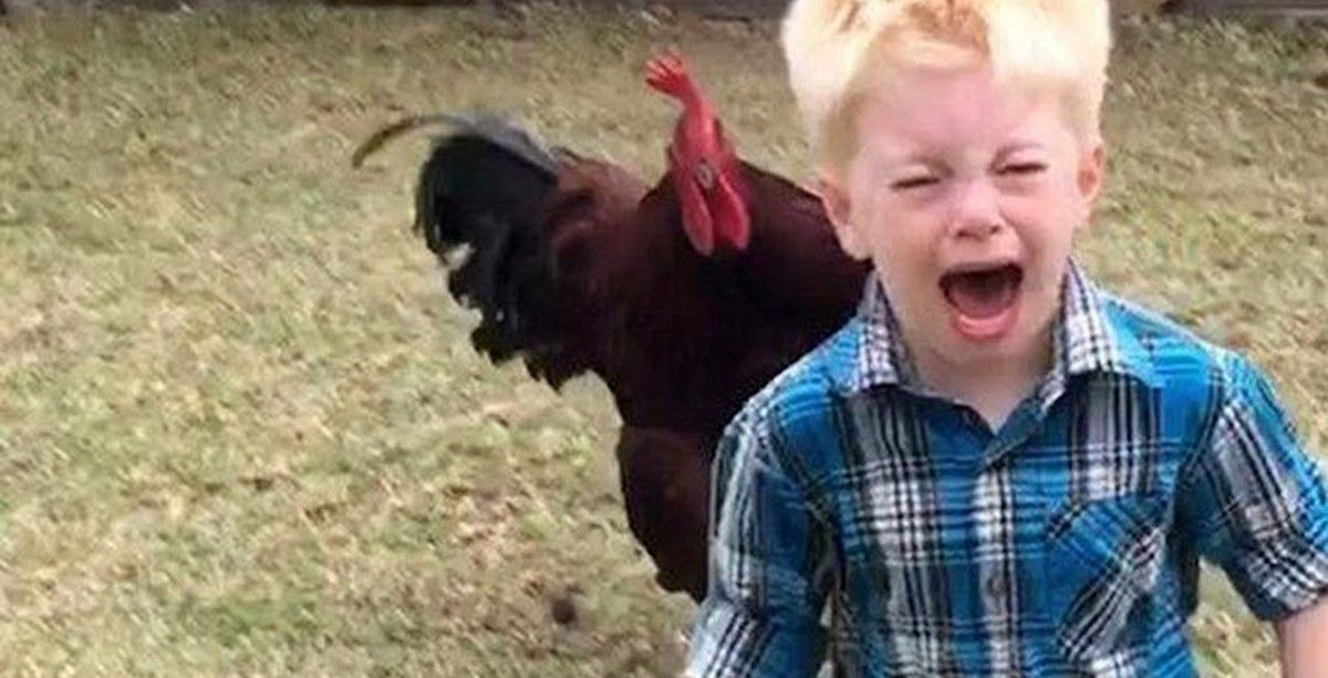 Подборка видео приколов