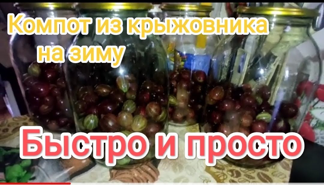 Компот из крыжовника на зиму @Ксюшкин день. Переезд на Юг