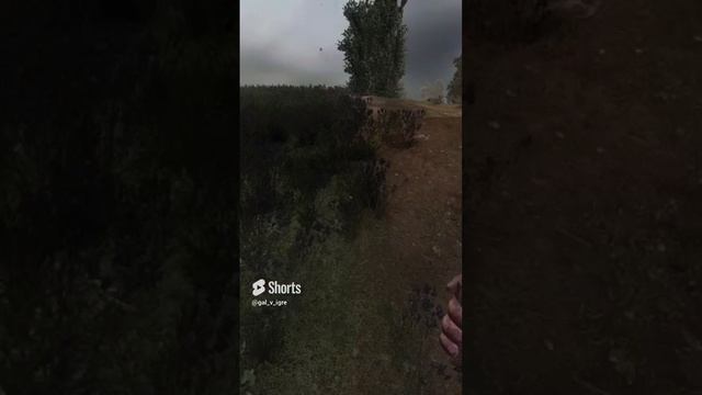 STALKER SHADOW OF CHERNOBYL Музыкант