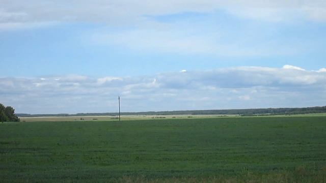 Голубое небо на фоне поля.mp4