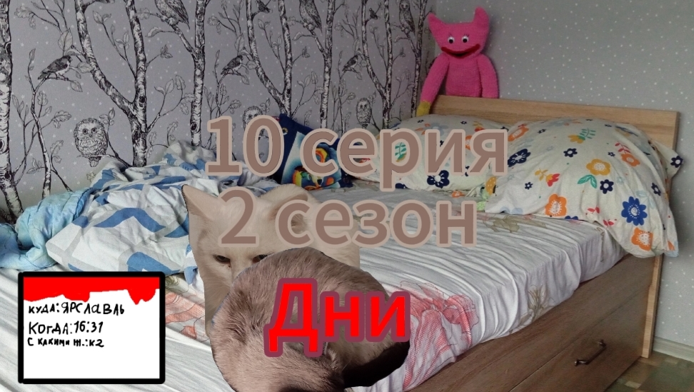 10 серия 2 сезон|Дни|Конец 2 сезона