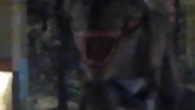 Пробуждение динозавра