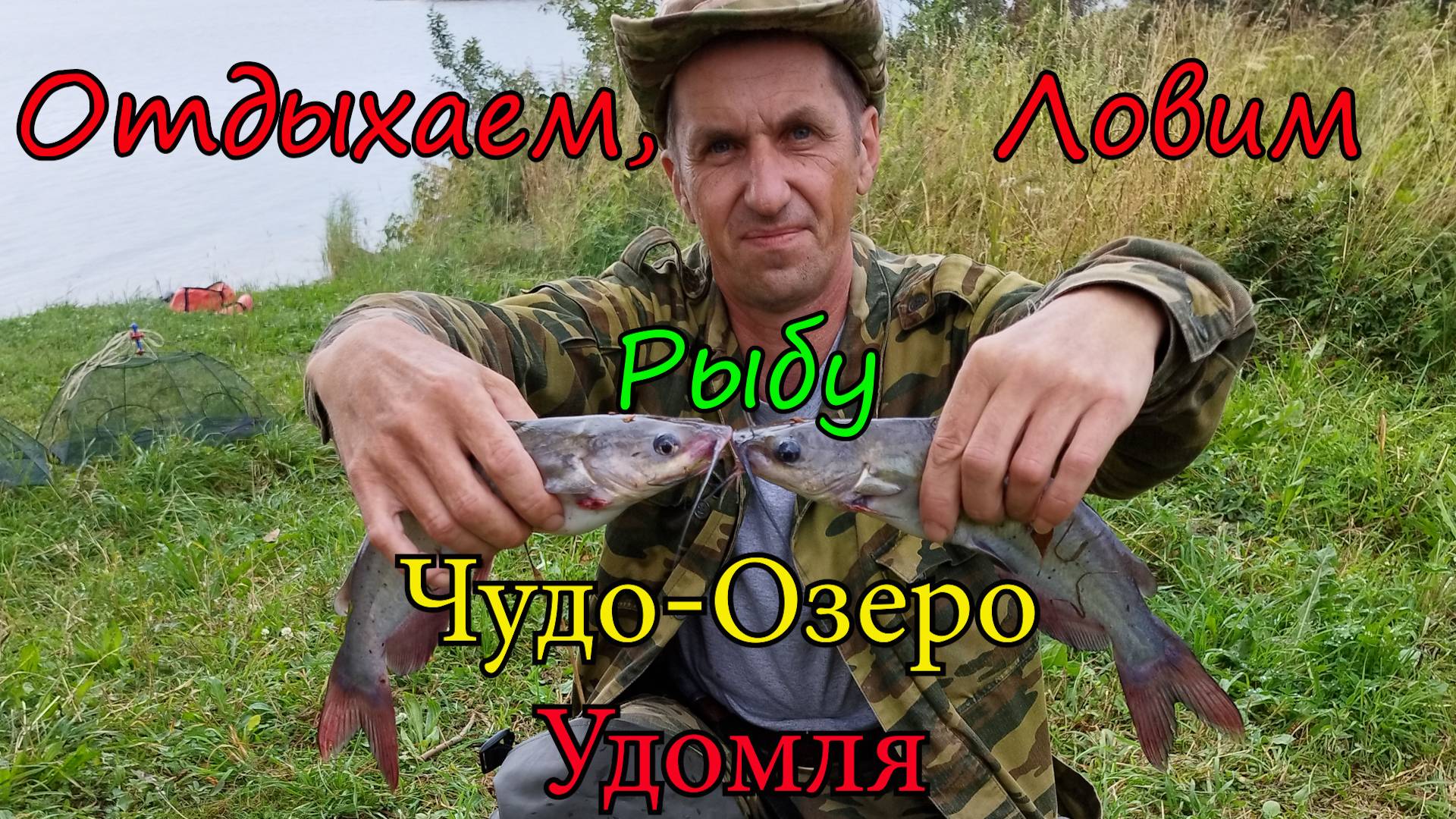 Отдыхаем всей семьёй на Чудо-Озере Удомля . Ловим сомов. Рыбалка 2023. Фидер2023.