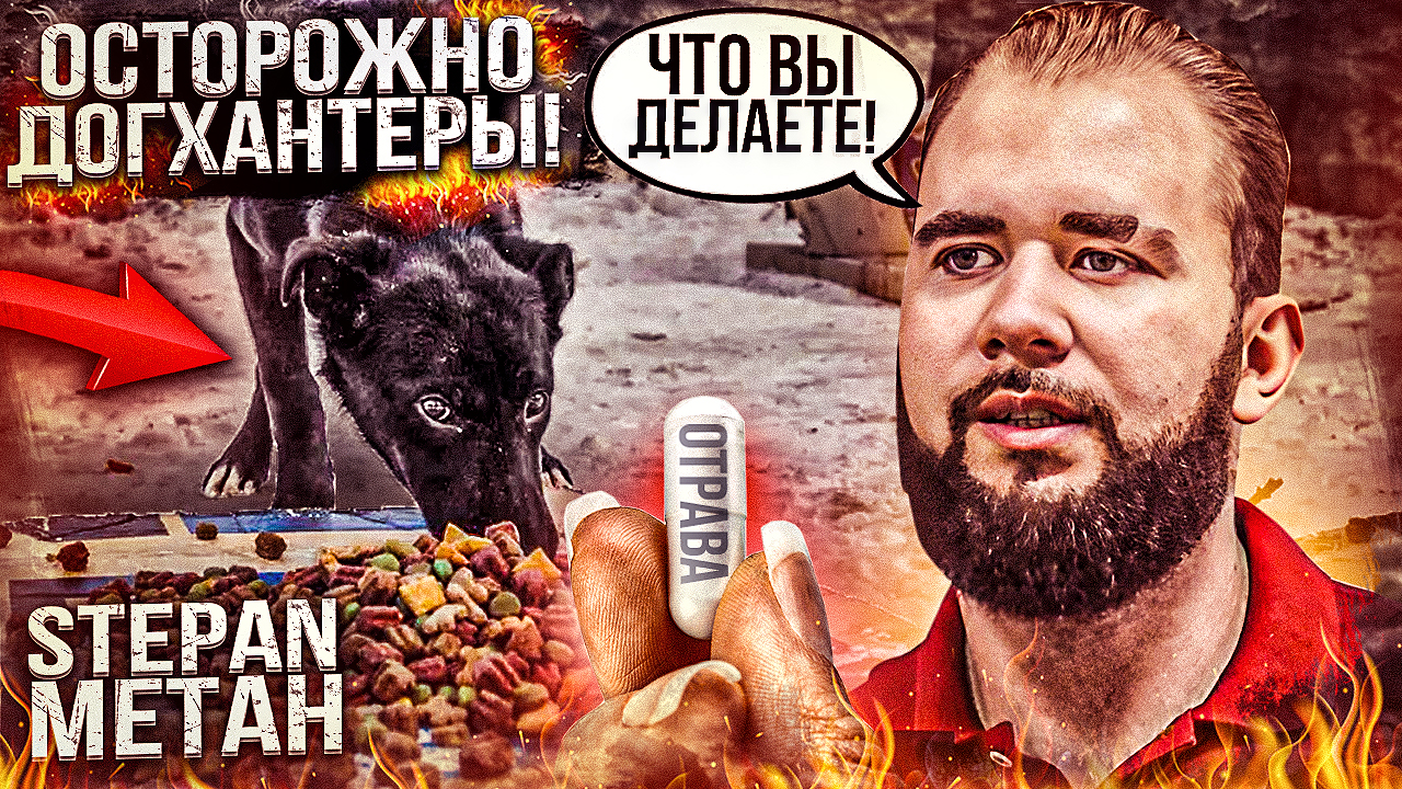 Как обезопасить вашего питомца от отравления догхантерами?