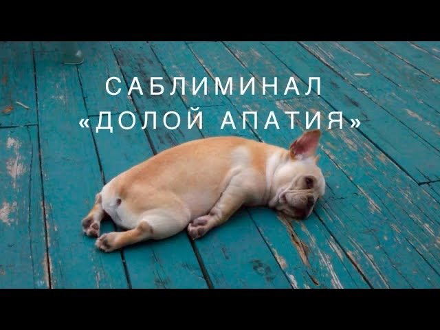 😁САБЛИМИНАЛ «ДОЛОЙ АПАТИЯ»! С ЧАСТОТОЙ 432 герц😜 #саблиминал #долойапатия