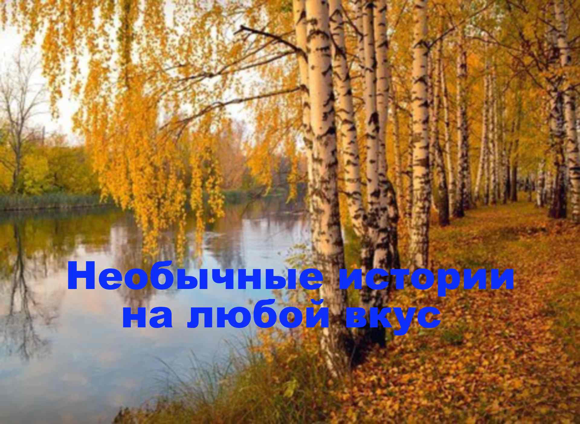 История о продвинутом бомже и ещё несколько интересных историй. Аудио рассказы.