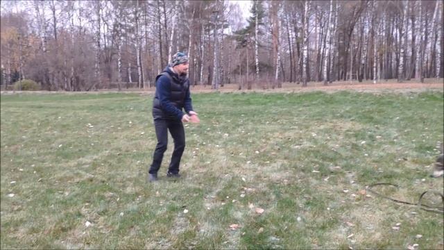 гончая Дарси, метис Сэм, австралийская овчарка Рэй - тренировка).mp4