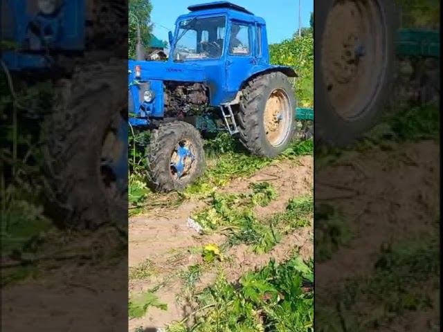 Борона БДМ  2х2 с катком для  трактора мтз 82 #борона #мтз #колхозники #вспашка