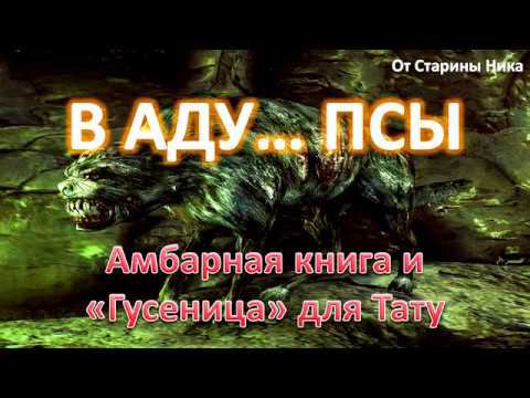 S.T.A.L.K.E.R. В Аду... Псы - Амбарная книга и "Плазменная гусеница" для Тату